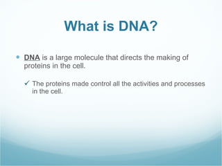 Dna structure and function (notes) | PPT