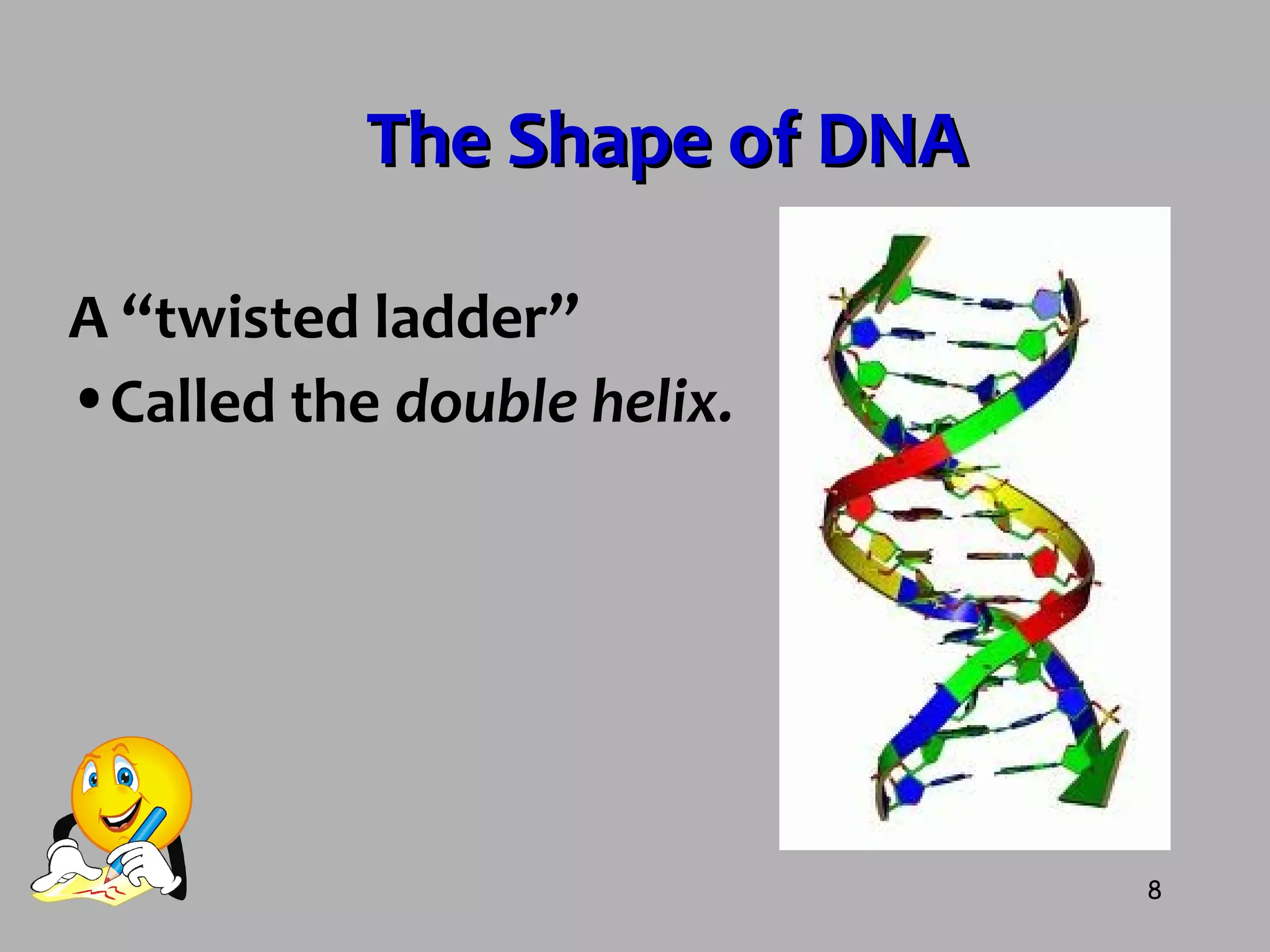 DNA Structure | PPT | Chemistry | Science