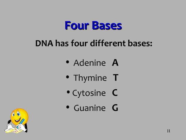 DNA Structure | PPT | Chemistry | Science