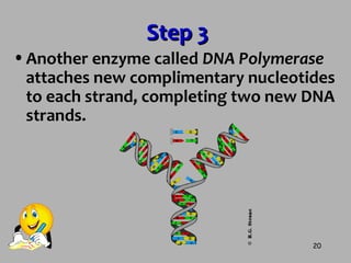 DNA Structure | PPT