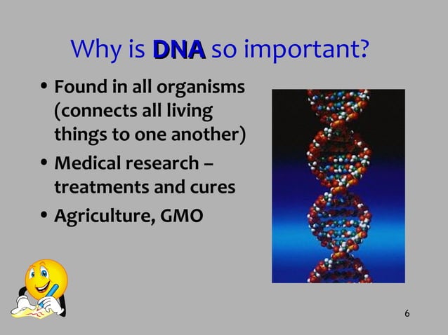 DNA Structure | PPT | Chemistry | Science