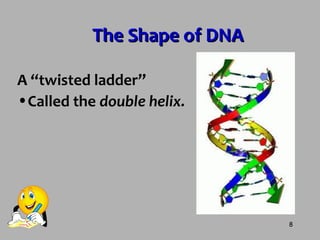 DNA Structure | PPT