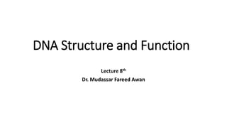 DNA Structure and Function..pptx | Biological Sciences | Science