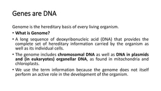 DNA Structure and Function..pptx | Biological Sciences | Science
