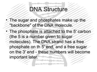 DNA structure and Function: Genetic code | PPT