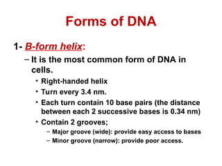 DNA structure and Function: Genetic code | PPT