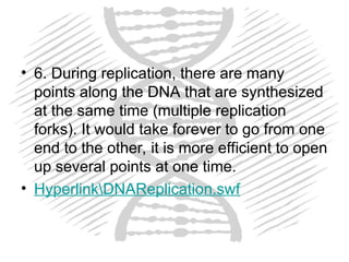 DNA structure and Function: Genetic code | PPT