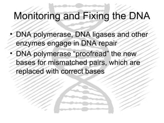 DNA structure and Function: Genetic code | PPT