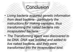 DNA structure and Function: Genetic code | PPT
