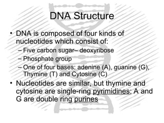 DNA structure and Function: Genetic code | PPT
