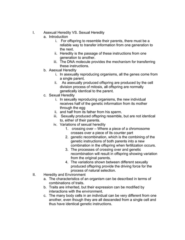 Dna structure and function notes | DOC