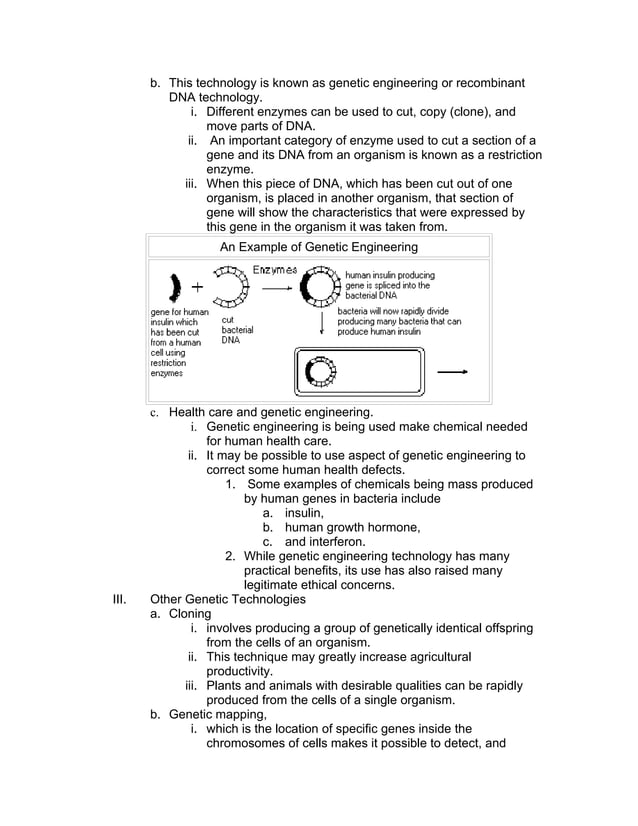 Dna structure and function notes | DOC