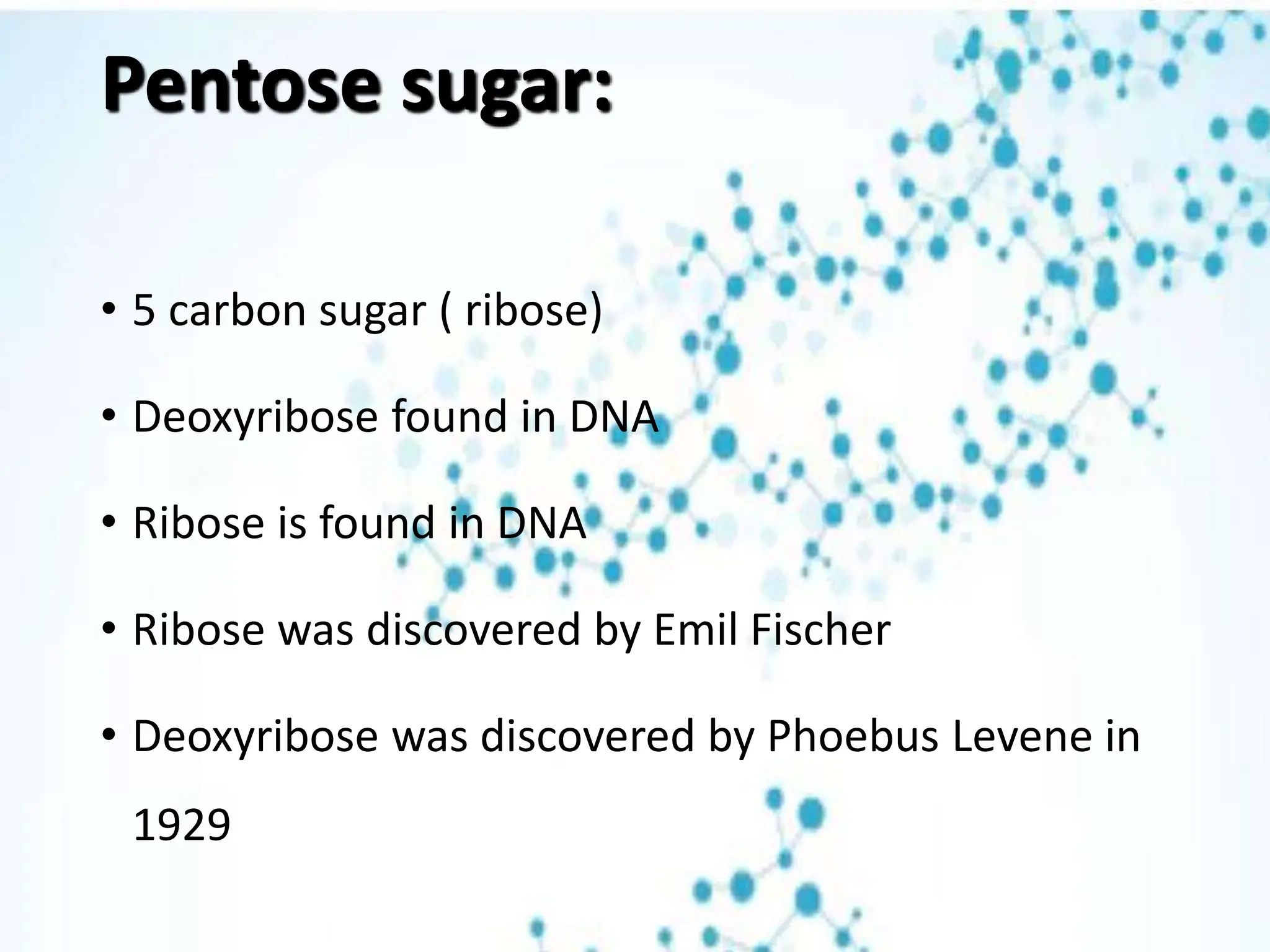 DNA_Structure_and_functions_01[1]-1[1][1].pptx