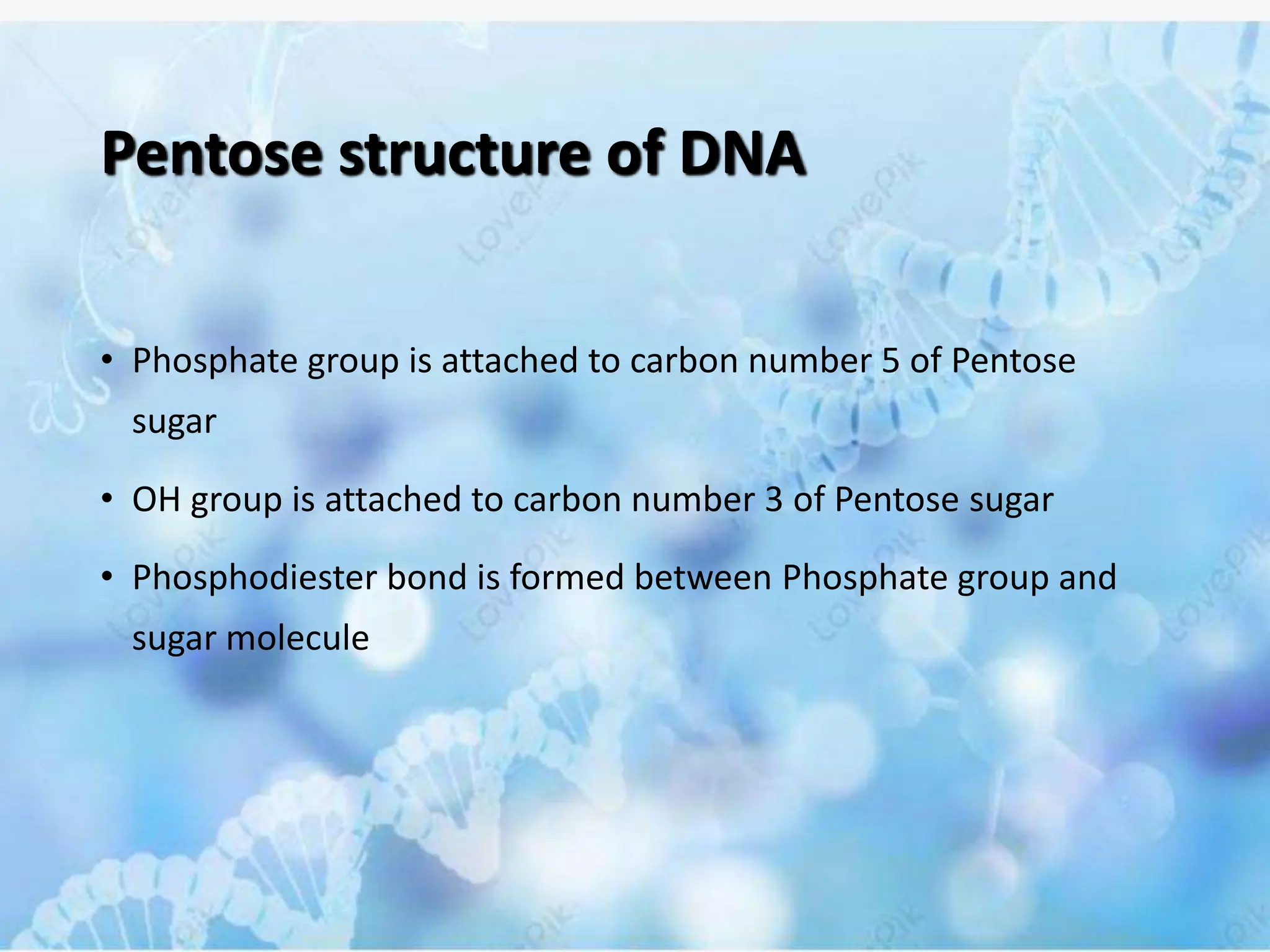 DNA_Structure_and_functions_01[1]-1[1][1].pptx