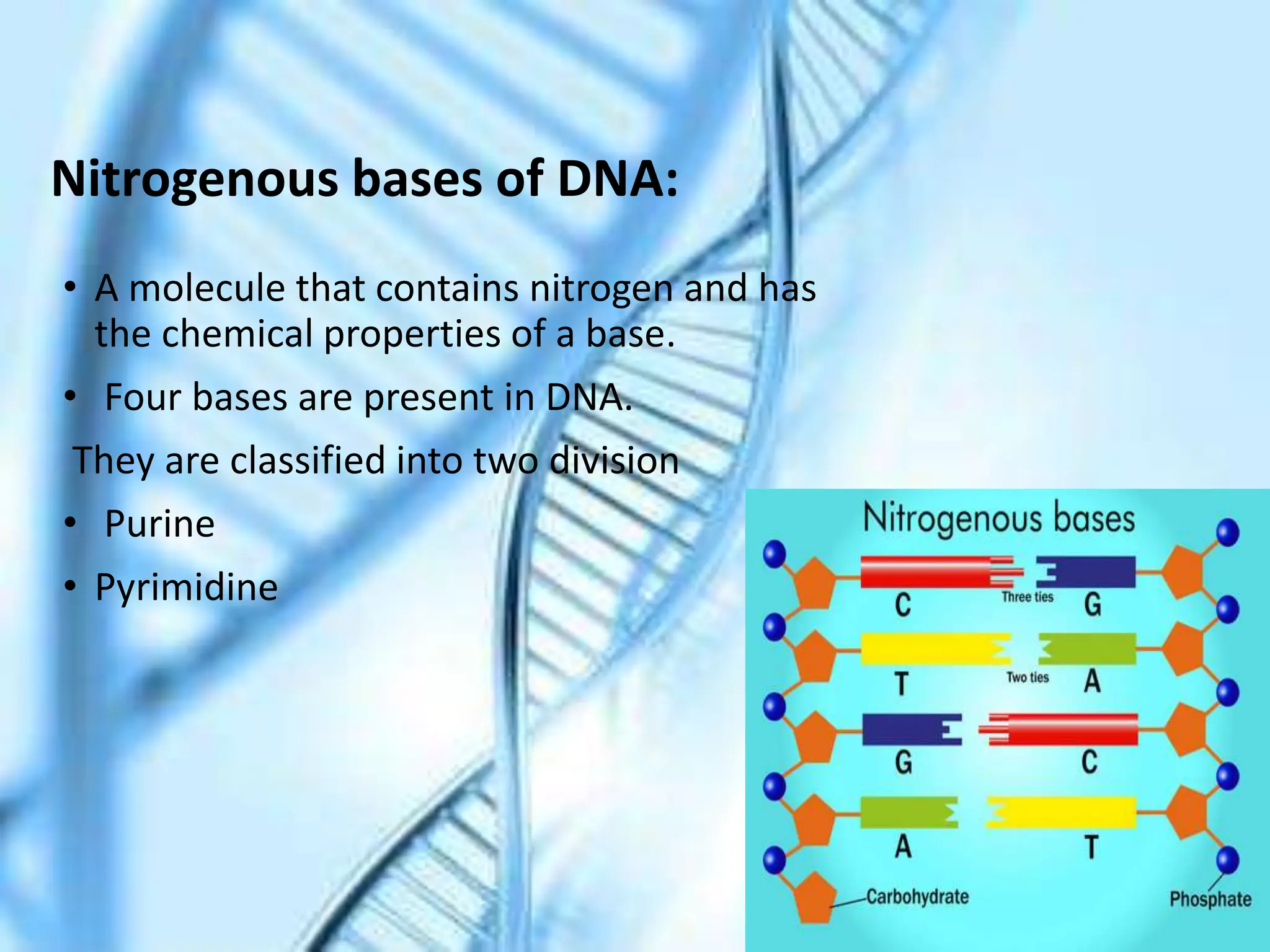 DNA_Structure_and_functions_01[1]-1[1][1].pptx