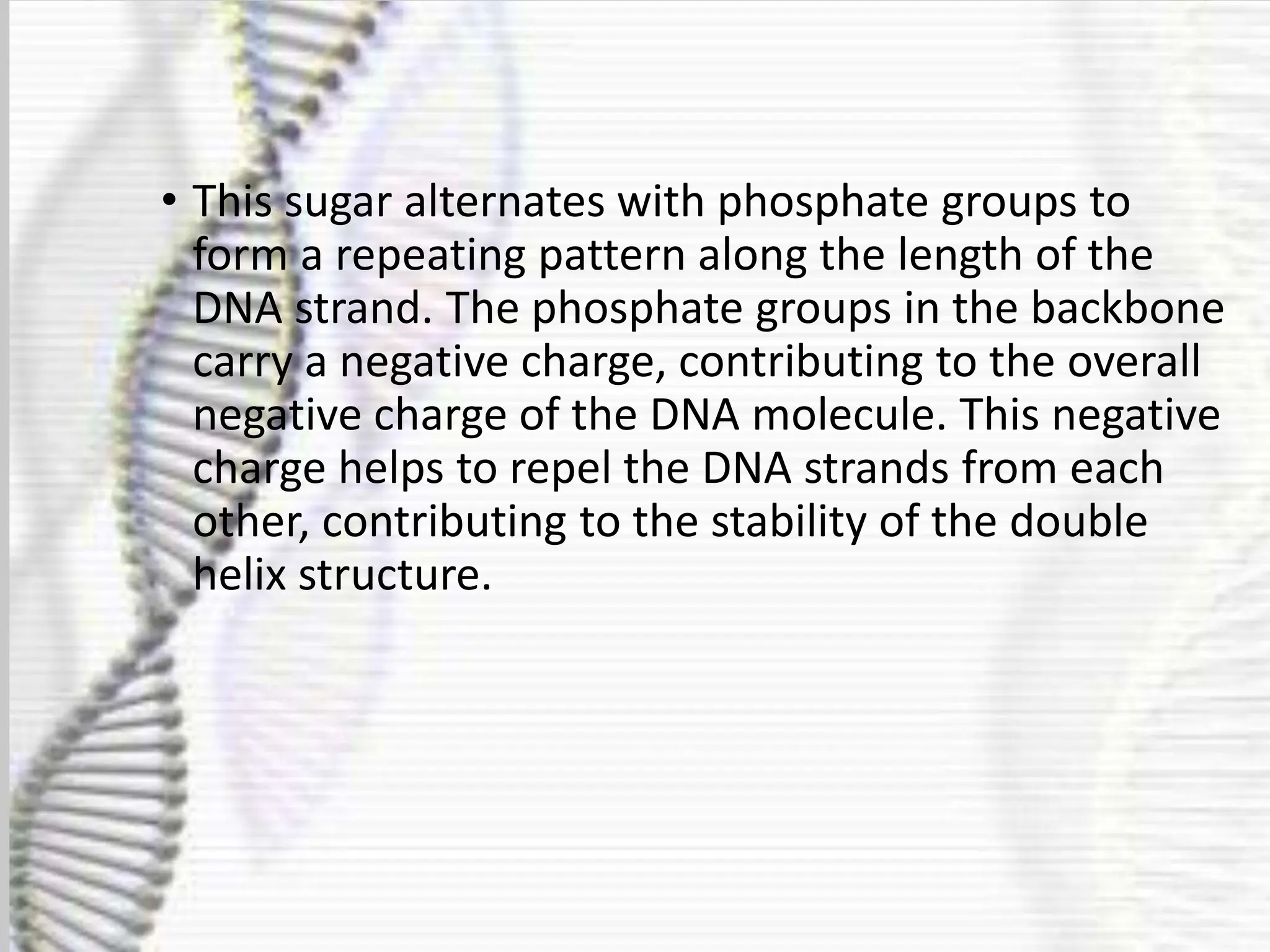 DNA_Structure_and_functions_01[1]-1[1][1].pptx