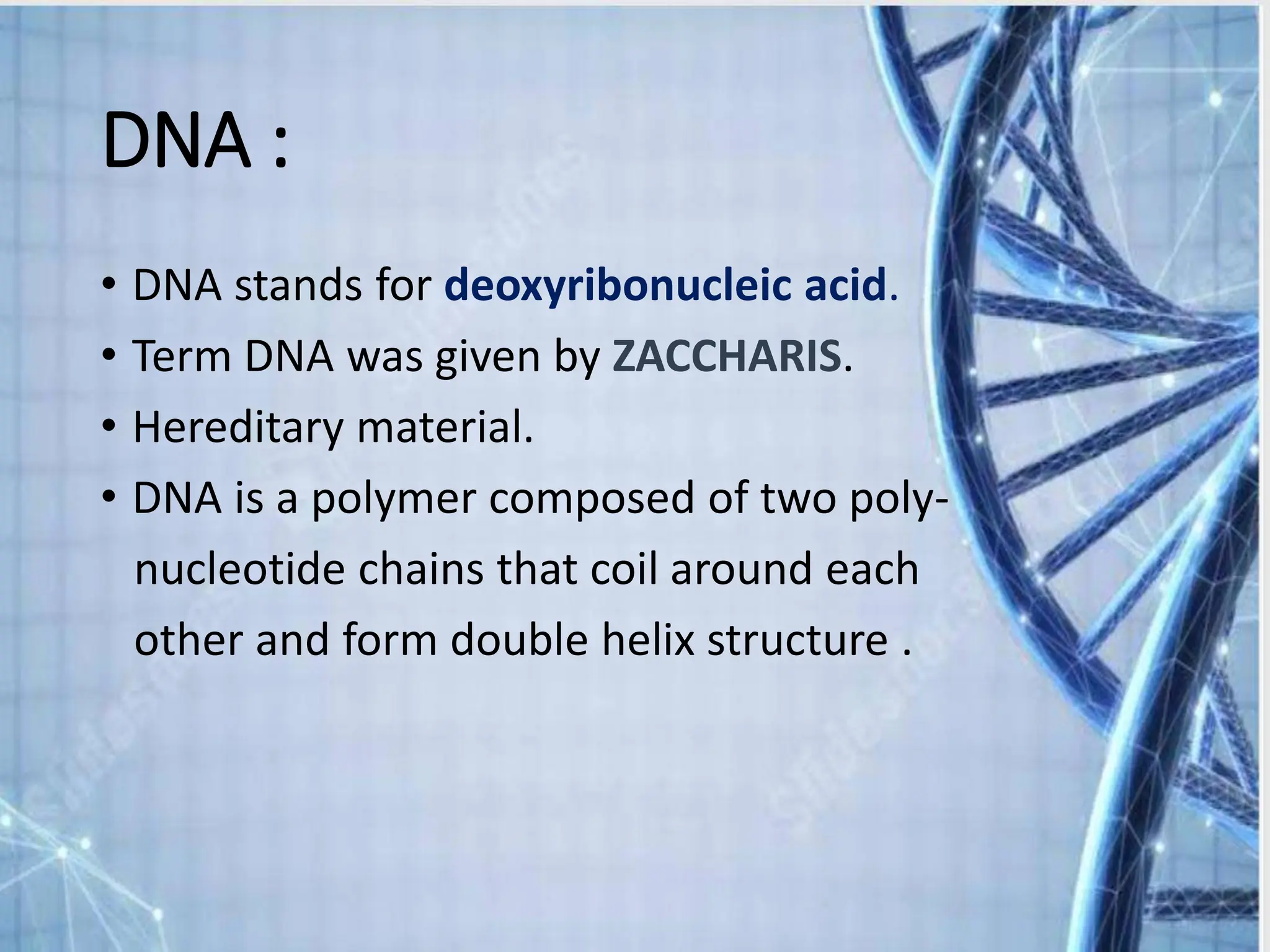 DNA_Structure_and_functions_01[1]-1[1][1].pptx