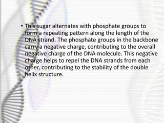 DNA_Structure_and_functions_01[1]-1[1][1].pptx