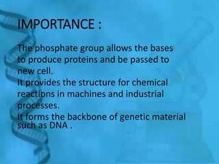 DNA_Structure_and_functions_01[1]-1[1][1].pptx