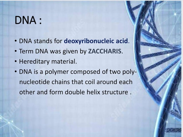 DNA_Structure_and_functions_01[1]-1[1][1].pptx