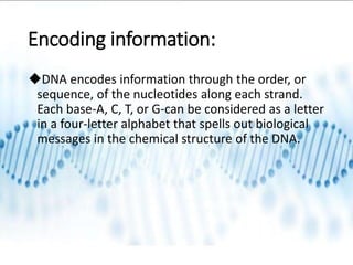 DNA_Structure_and_functions_01[1]-1[1][1].pptx