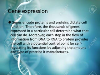DNA_Structure_and_functions_01[1]-1[1][1].pptx