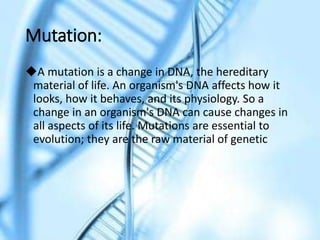DNA_Structure_and_functions_01[1]-1[1][1].pptx