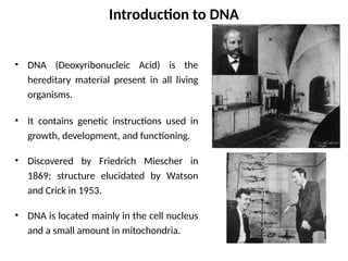 Perfect structure DNA_Structure_and_Functions_Presentation.pptx