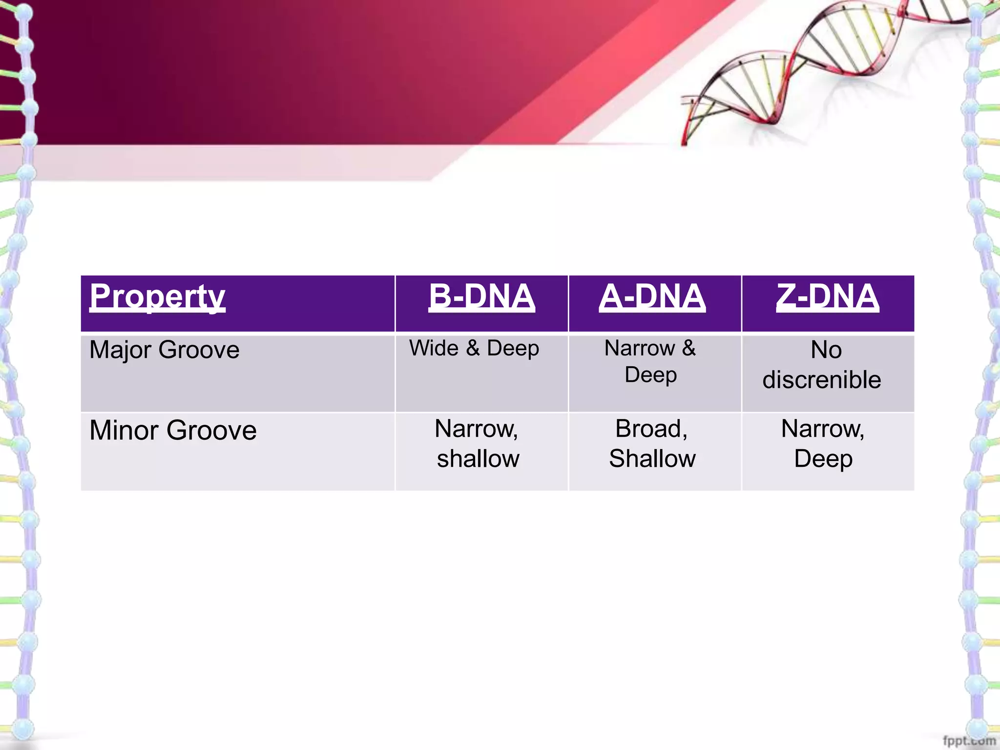 DNA structure and it's forms | PPTX | Chemistry | Science
