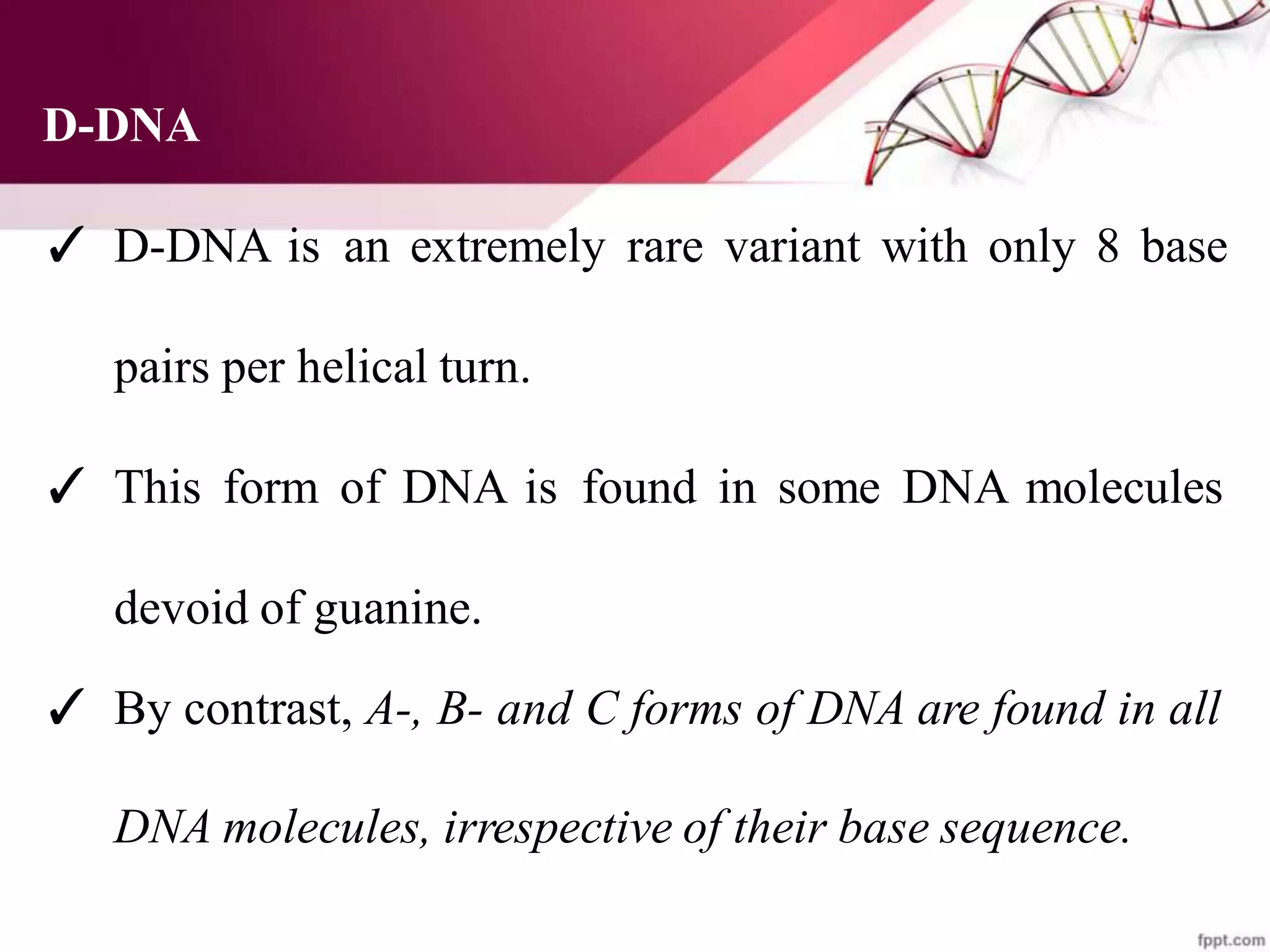 DNA structure and it's forms | PPTX | Chemistry | Science