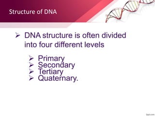DNA structure and it's forms | PPTX | Chemistry | Science