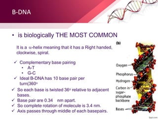 DNA structure and it's forms | PPTX | Chemistry | Science