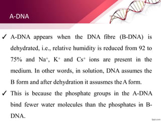 DNA structure and it's forms | PPTX | Chemistry | Science