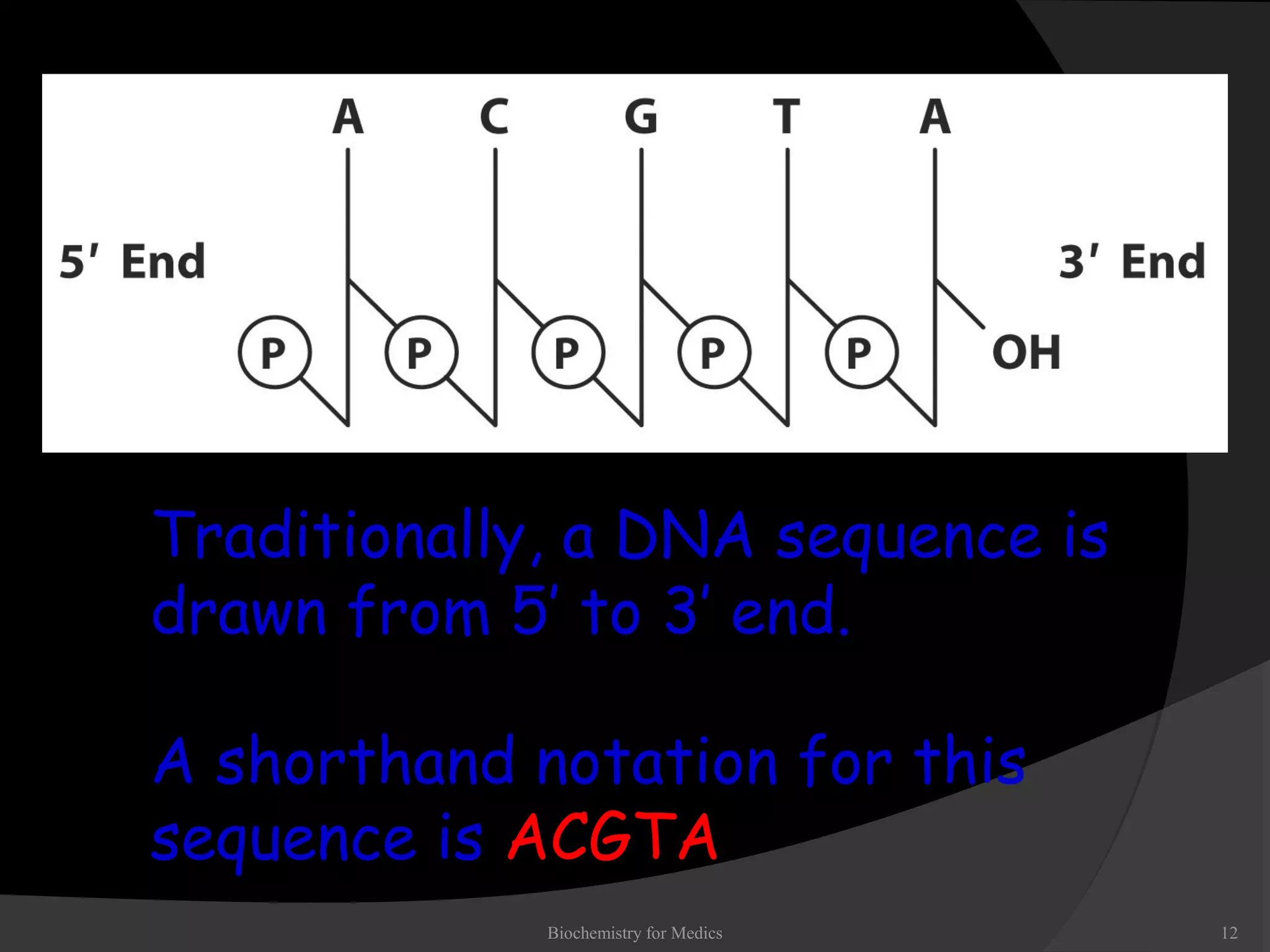 DNA structure, Functions and properties | PPT