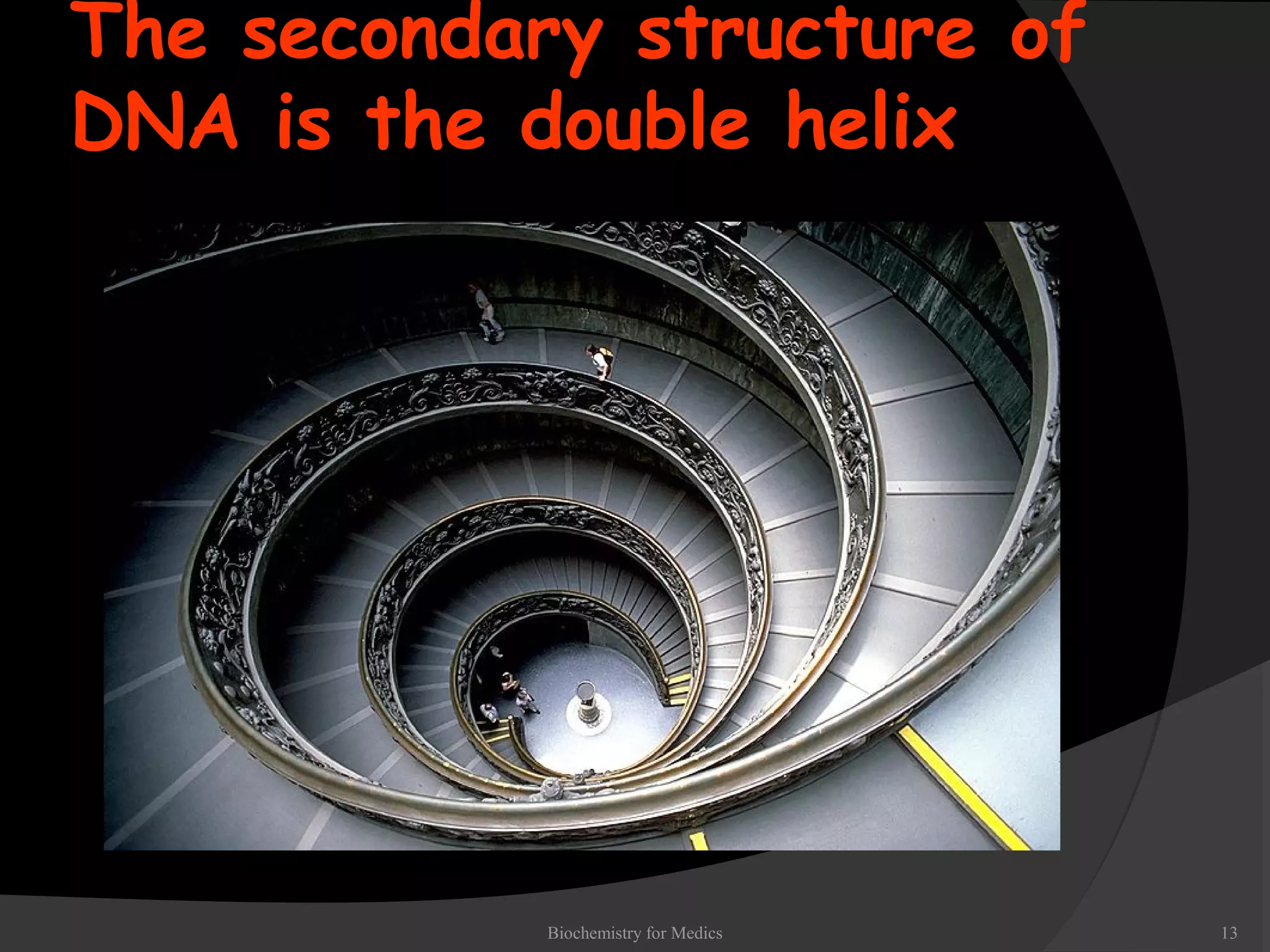 DNA structure, Functions and properties | PPT