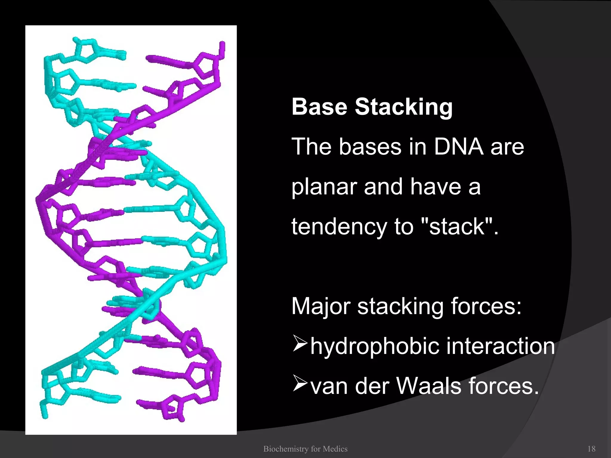 DNA structure, Functions and properties | PPT