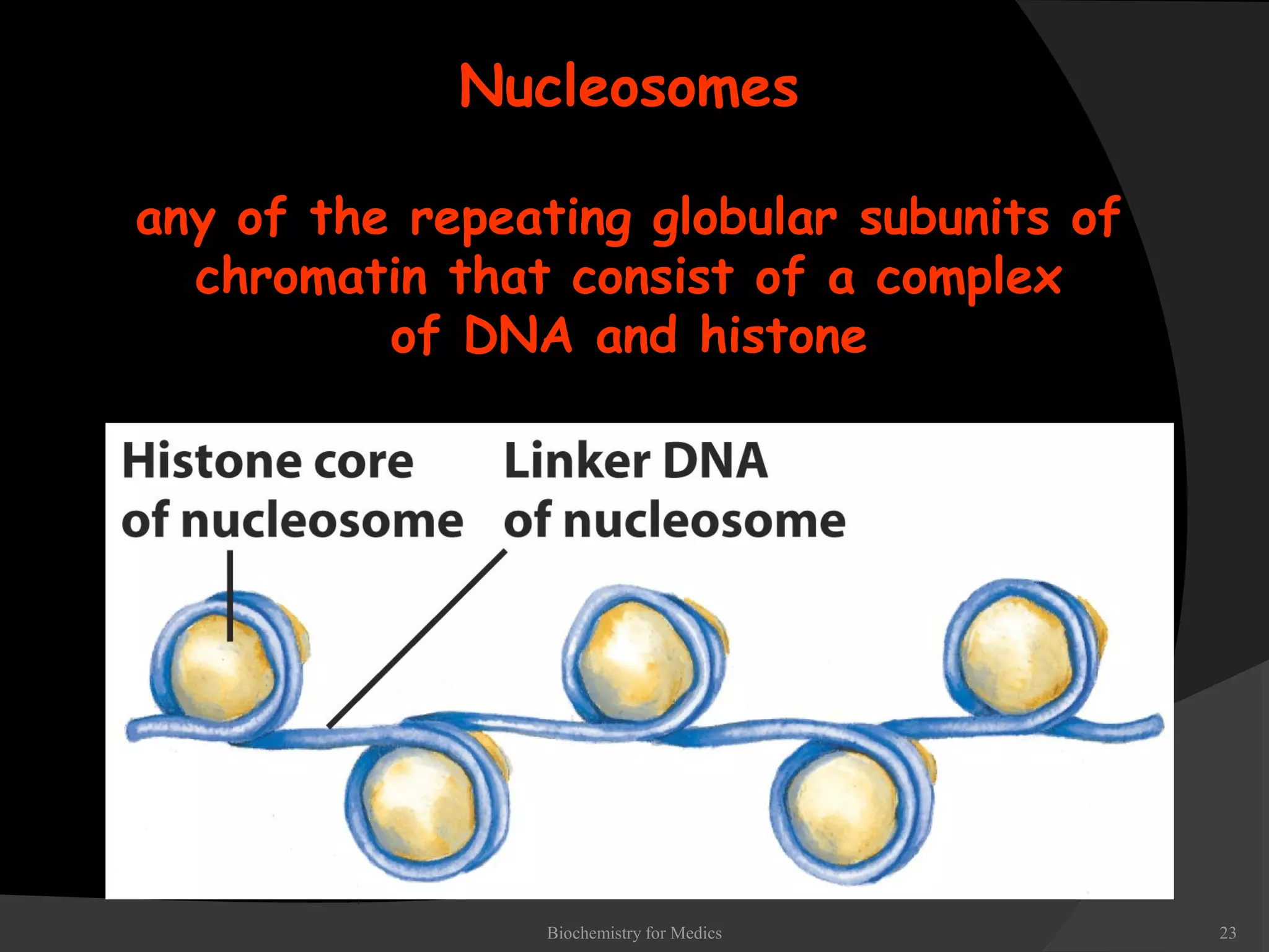 DNA structure, Functions and properties | PPT