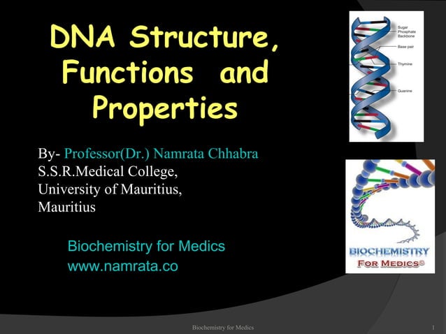 DNA structure, Functions and properties | PPT | Biological Sciences ...
