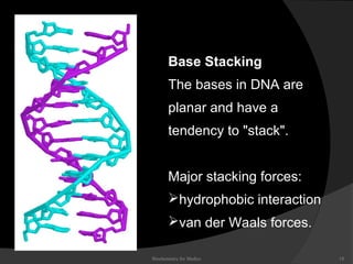 DNA structure, Functions and properties | PPT