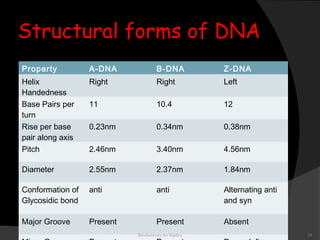 DNA structure, Functions and properties | PPT
