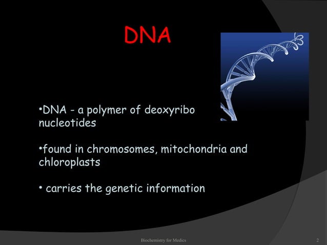 DNA structure, Functions and properties | PPT | Biological Sciences | Science