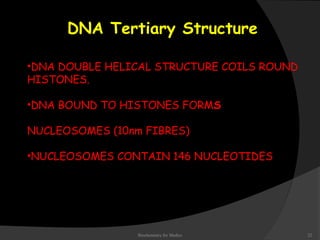 DNA structure, Functions and properties | PPT
