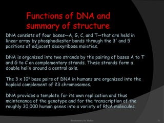 DNA structure, Functions and properties | PPT