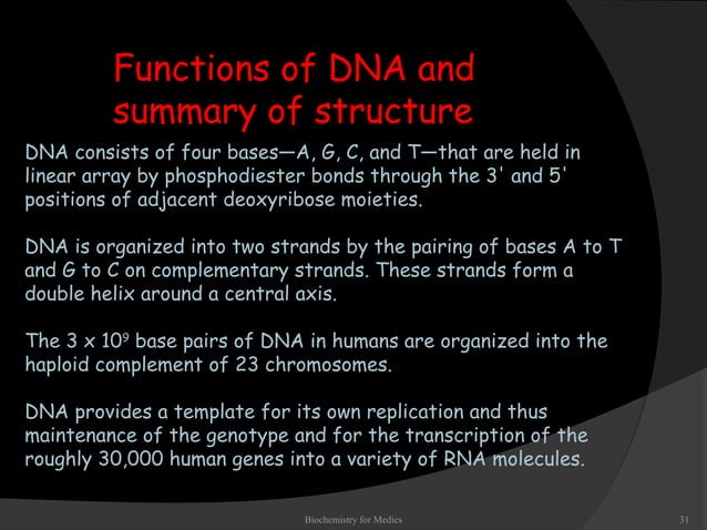 DNA structure, Functions and properties | PPT | Biological Sciences | Science