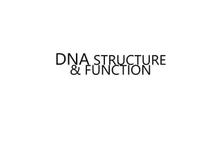 DNA structure and replication molecular biology | PPT