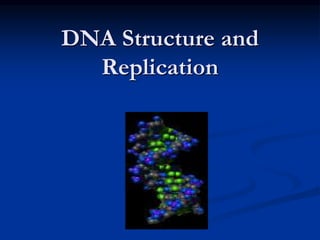 DNA Structure and Replication PowerPoint | PPT