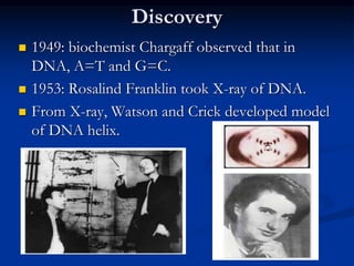DNA Structure and Replication PowerPoint | PPT