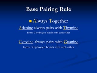 DNA Structure and Replication PowerPoint | PPT