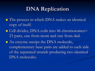 DNA Structure and Replication PowerPoint | PPT