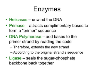 DNA structure and it's Replication in prokaryotes.ppt